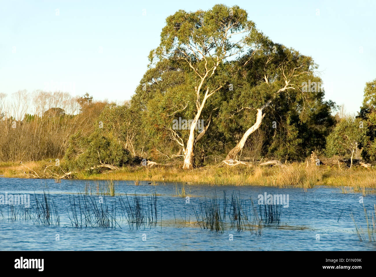 Bong bong river hi-res stock photography and images - Alamy