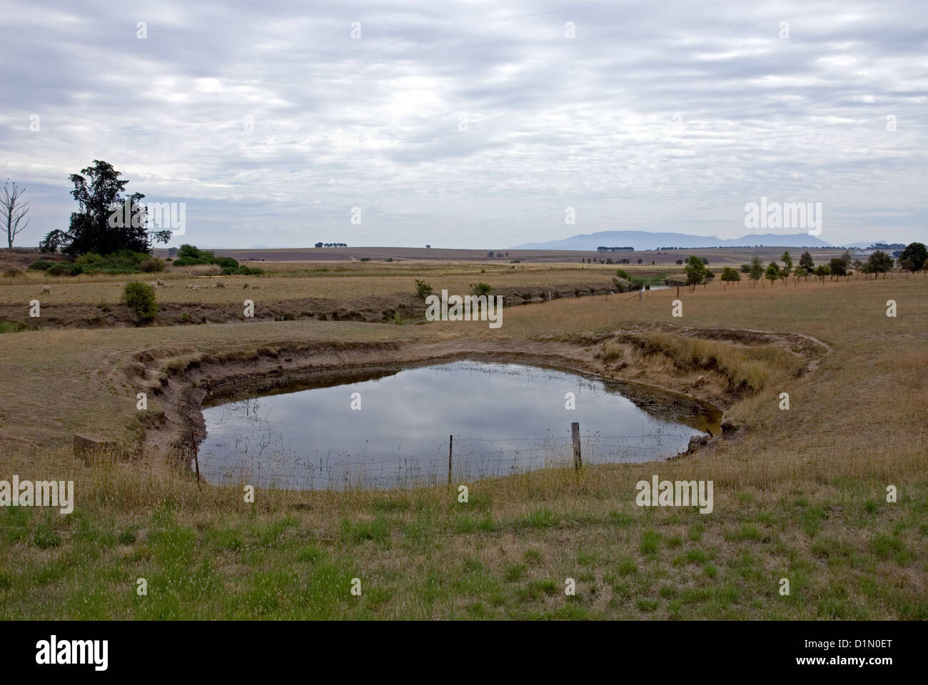 Dam waterhole hi-res stock photography and images - Alamy