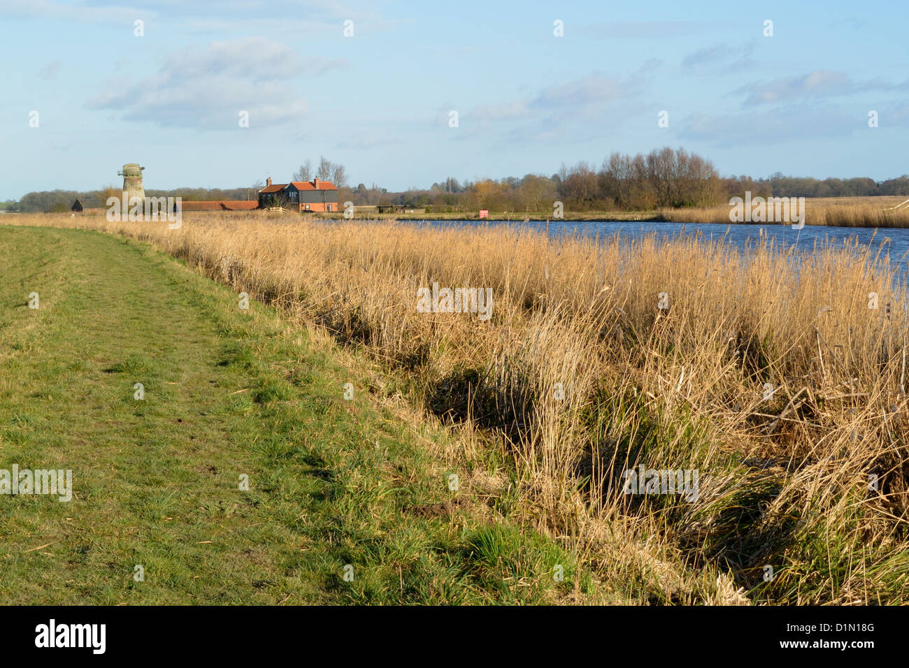 The River Bure near Acle, Norfolk, with derelict Clippesby Mill in the ...