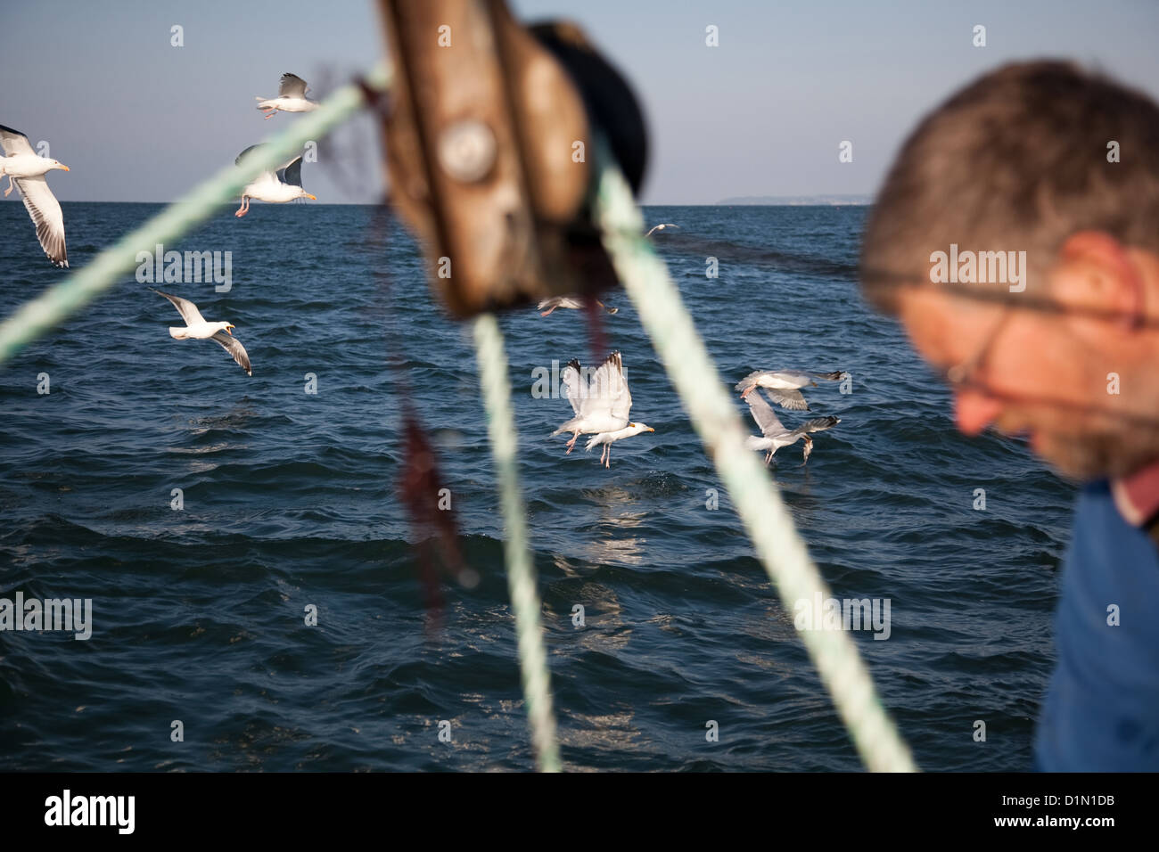 Sea gulls diving for scraps thrown off the boat where Richard is ...