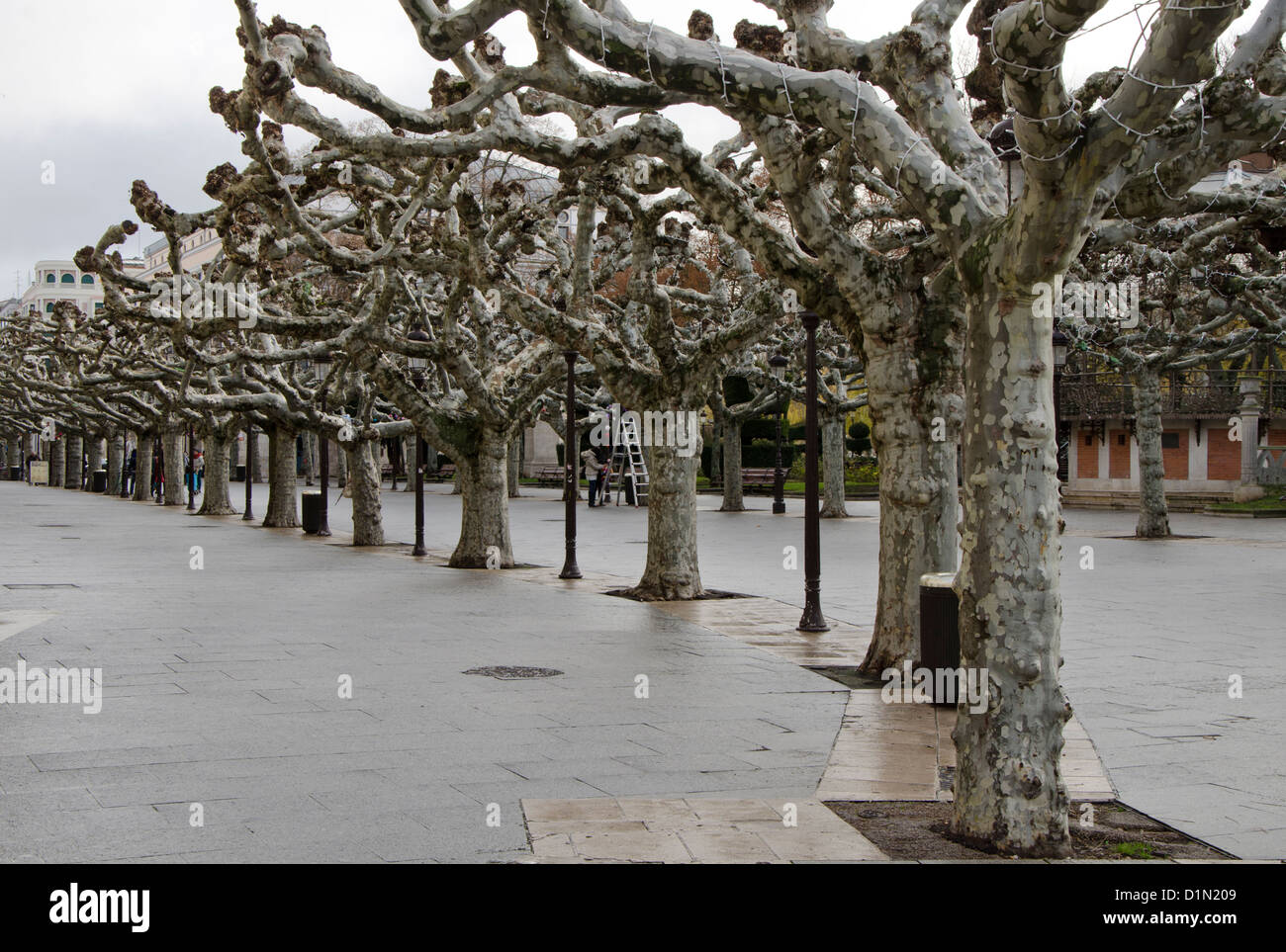 Medieval street line hi-res stock photography and images - Alamy