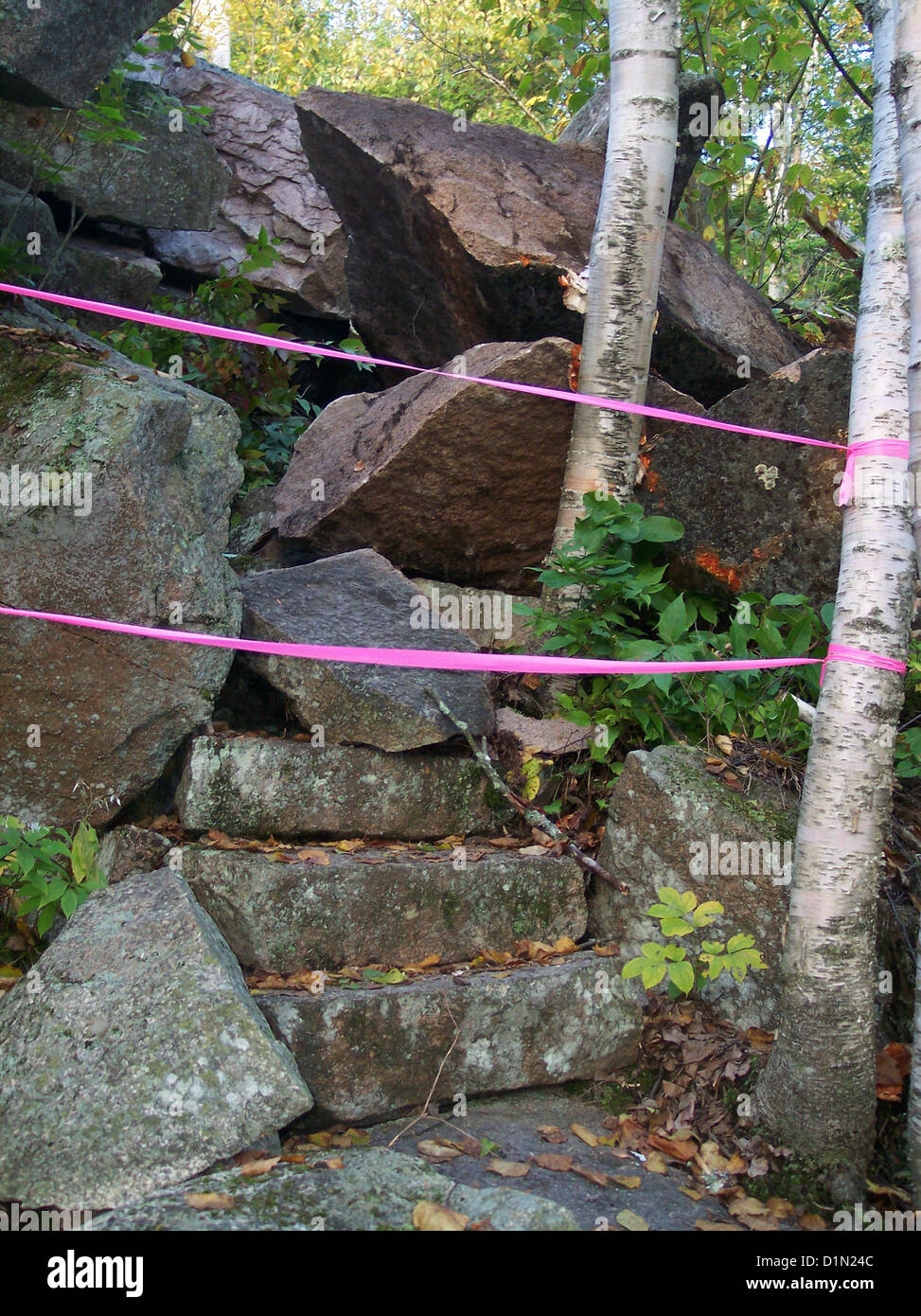 Earthquake Effects Acadia National Park Maine .. Homans Path Steps ...