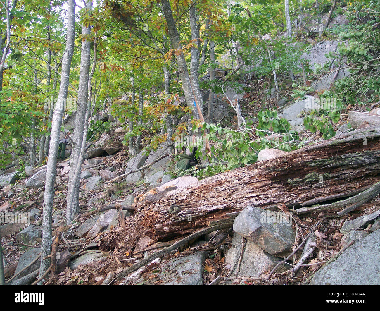Earthquake Effects Acadia National Park Maine .. East Face Trail ...