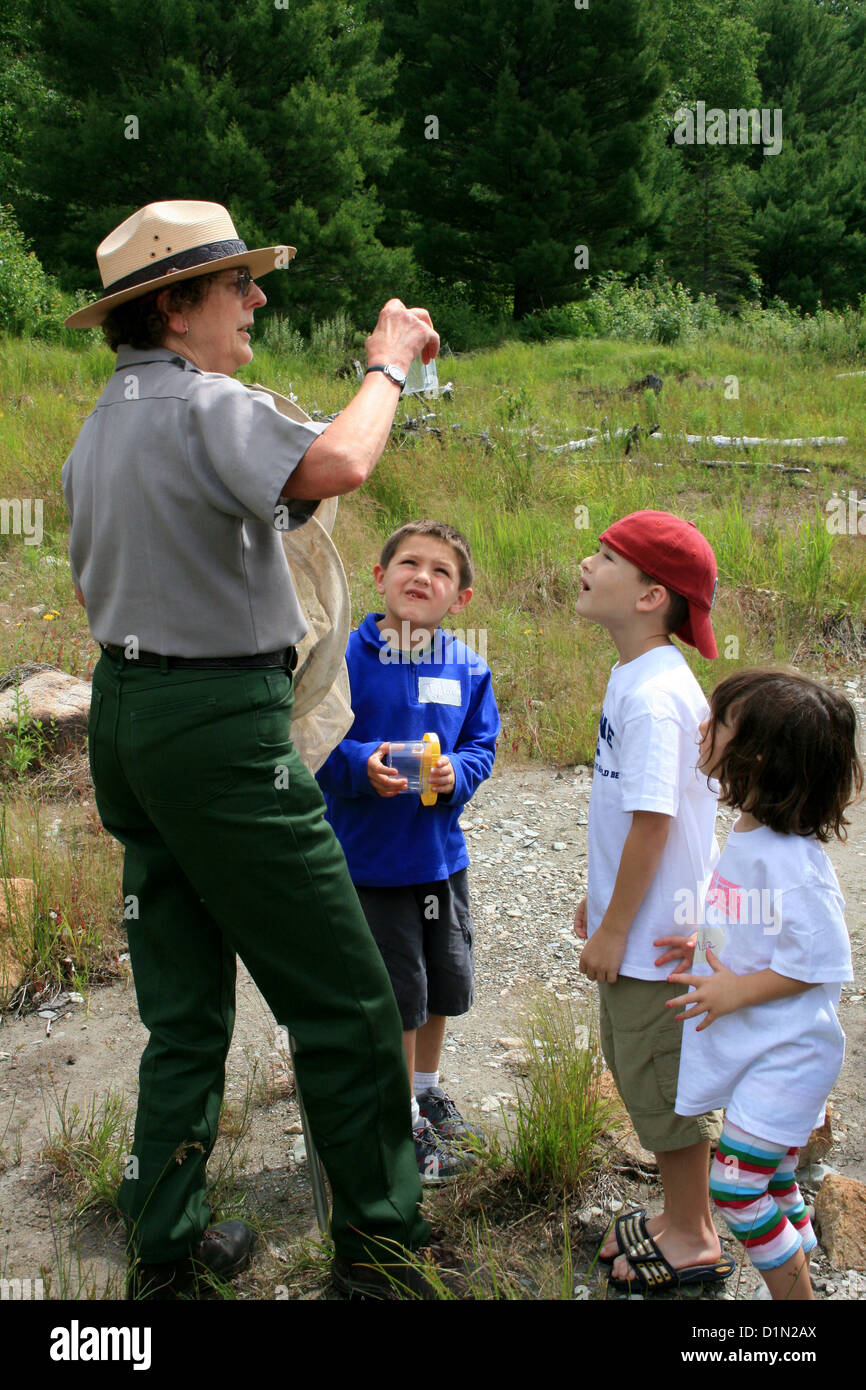 The Acadia National Park Ranger Program offers guided tours and ...