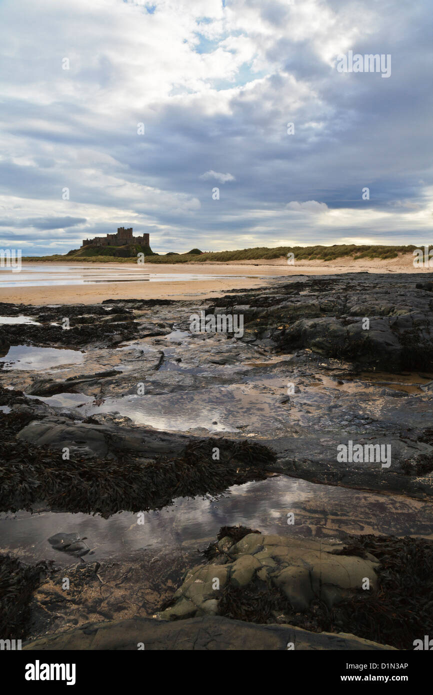 Bamburgh Castle, Bamburgh Beach, Northumberland, England Stock Photo ...