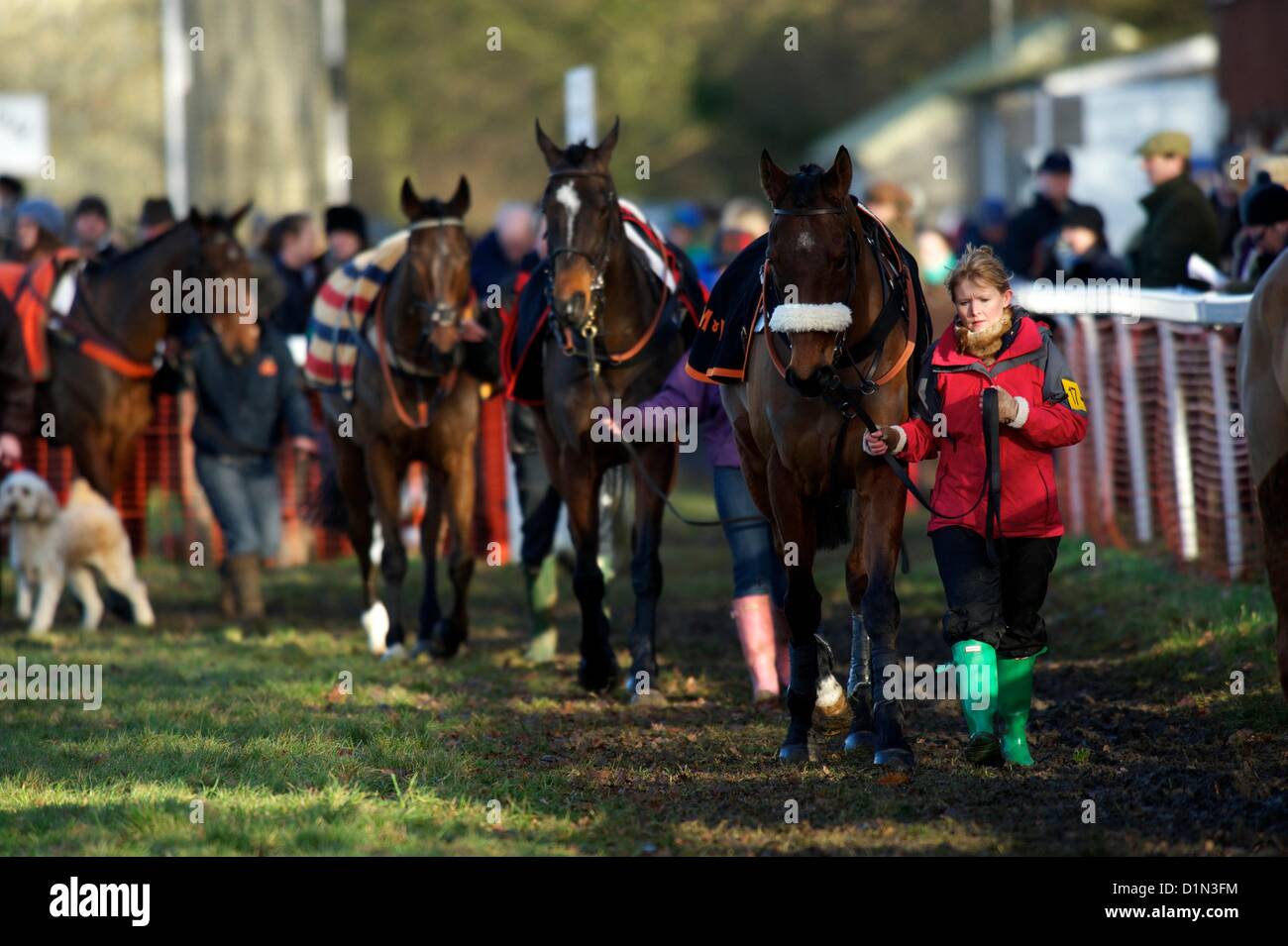 Action from the Point to Point Horse Racing of the Cambridgeshire ...