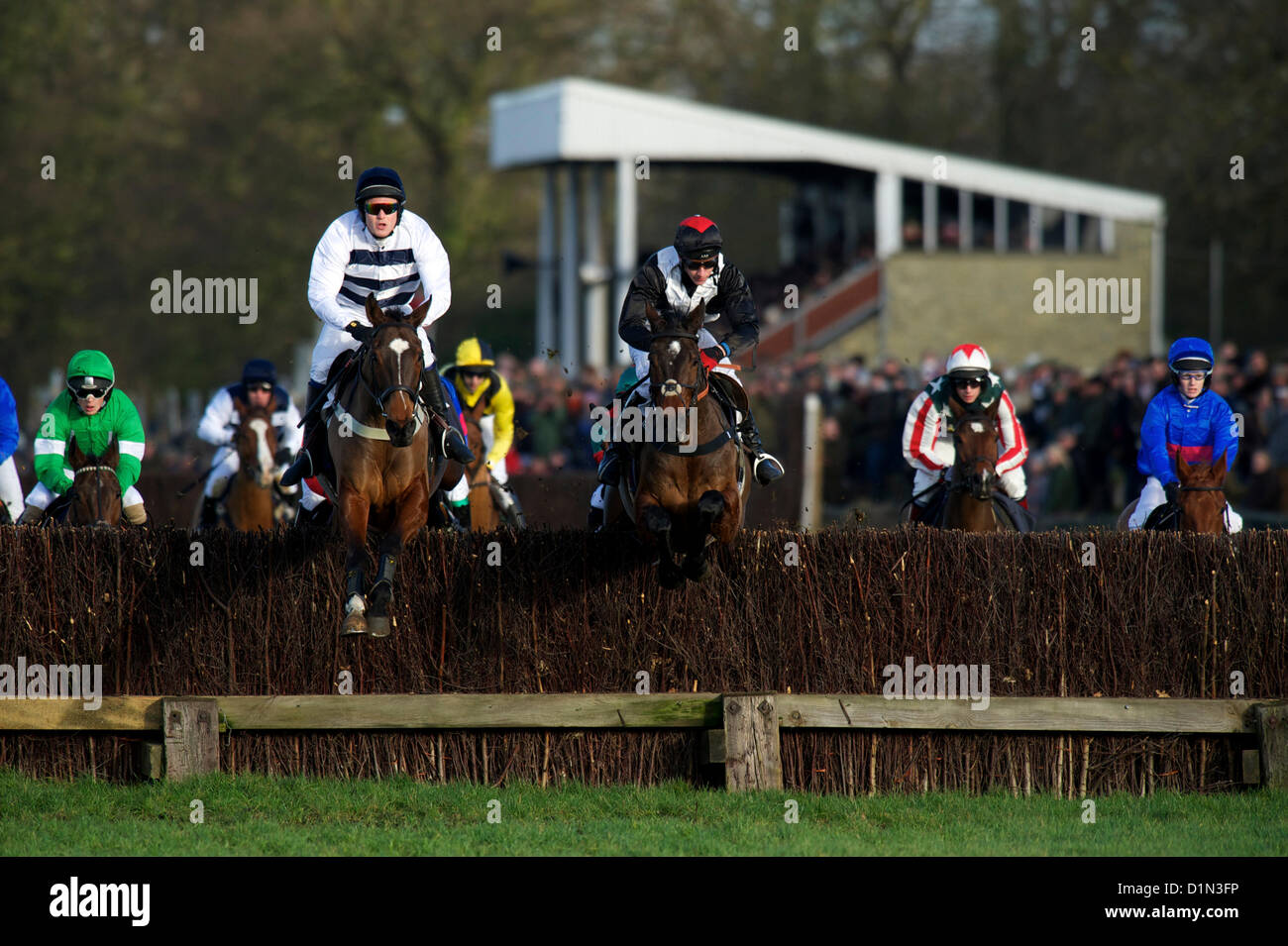 Action from the Point to Point Horse Racing of the Cambridgeshire ...
