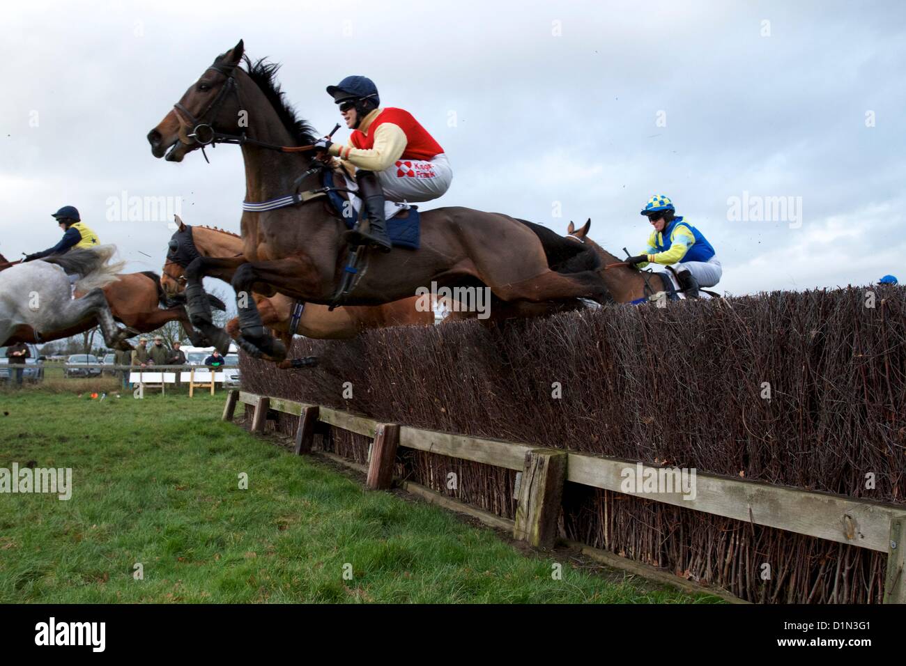 Horse jumping hedge hi-res stock photography and images - Alamy
