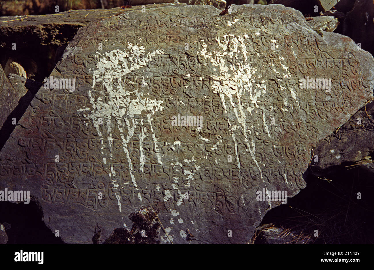 Prayers engraved incised carved on Mani stone rock at side of Annapurna ...