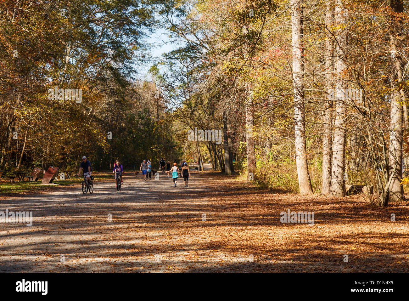 Walking and running and cycling hi-res stock photography and images - Alamy