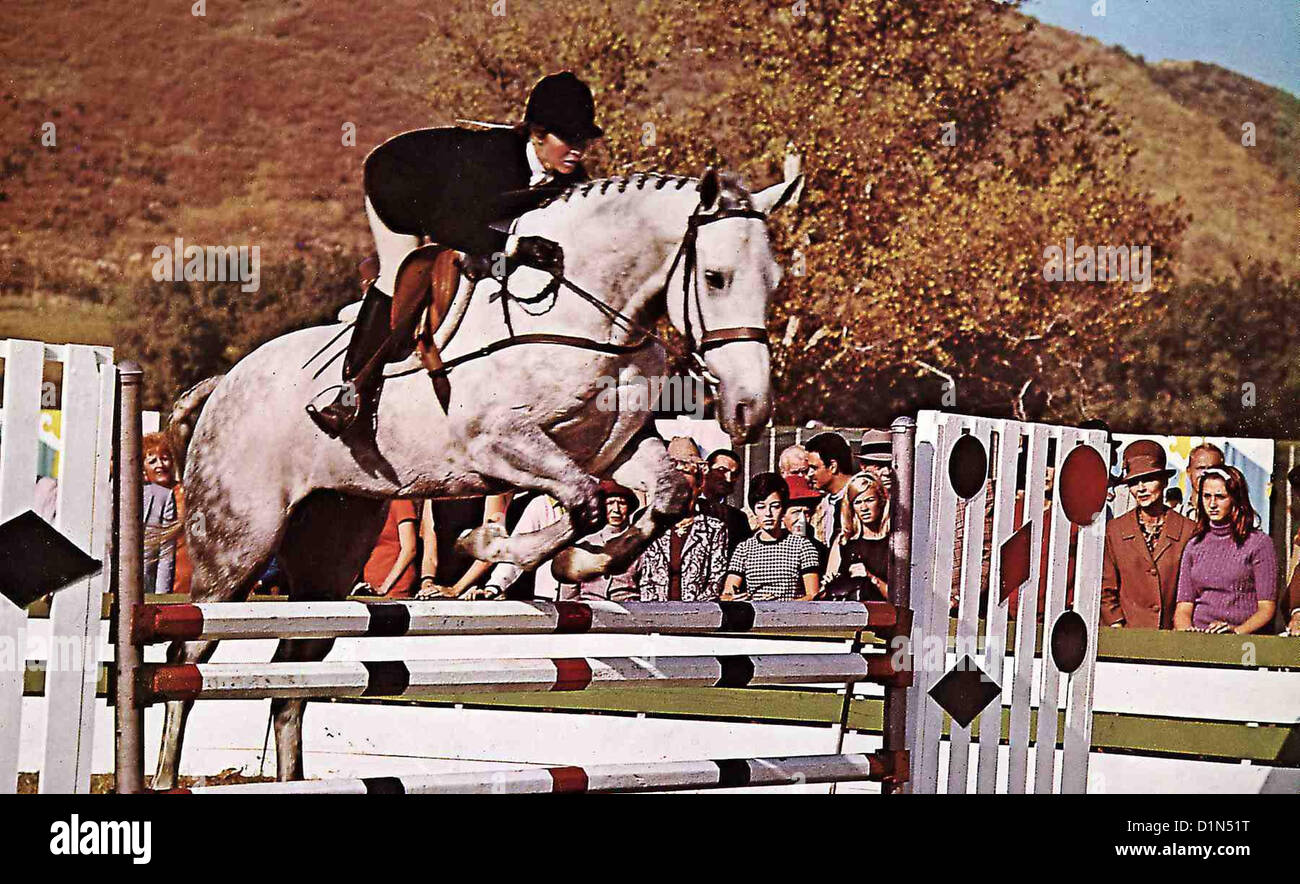 Der Hengst Im Grauen Flanellanzug Horse In The Gray Flannel Suit, The ...