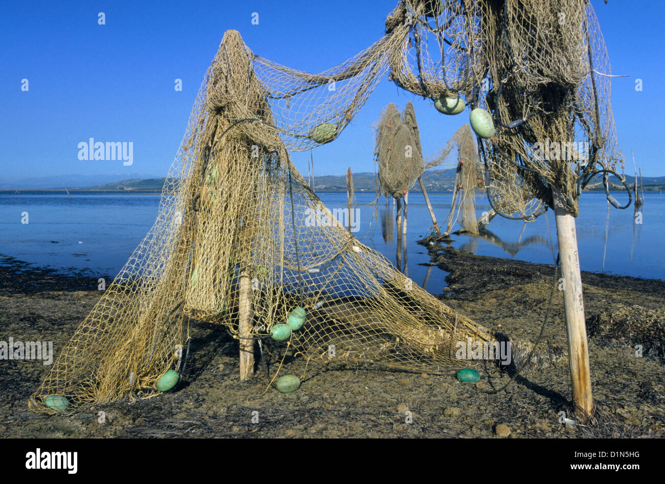 Netting fishery lake hi-res stock photography and images - Alamy
