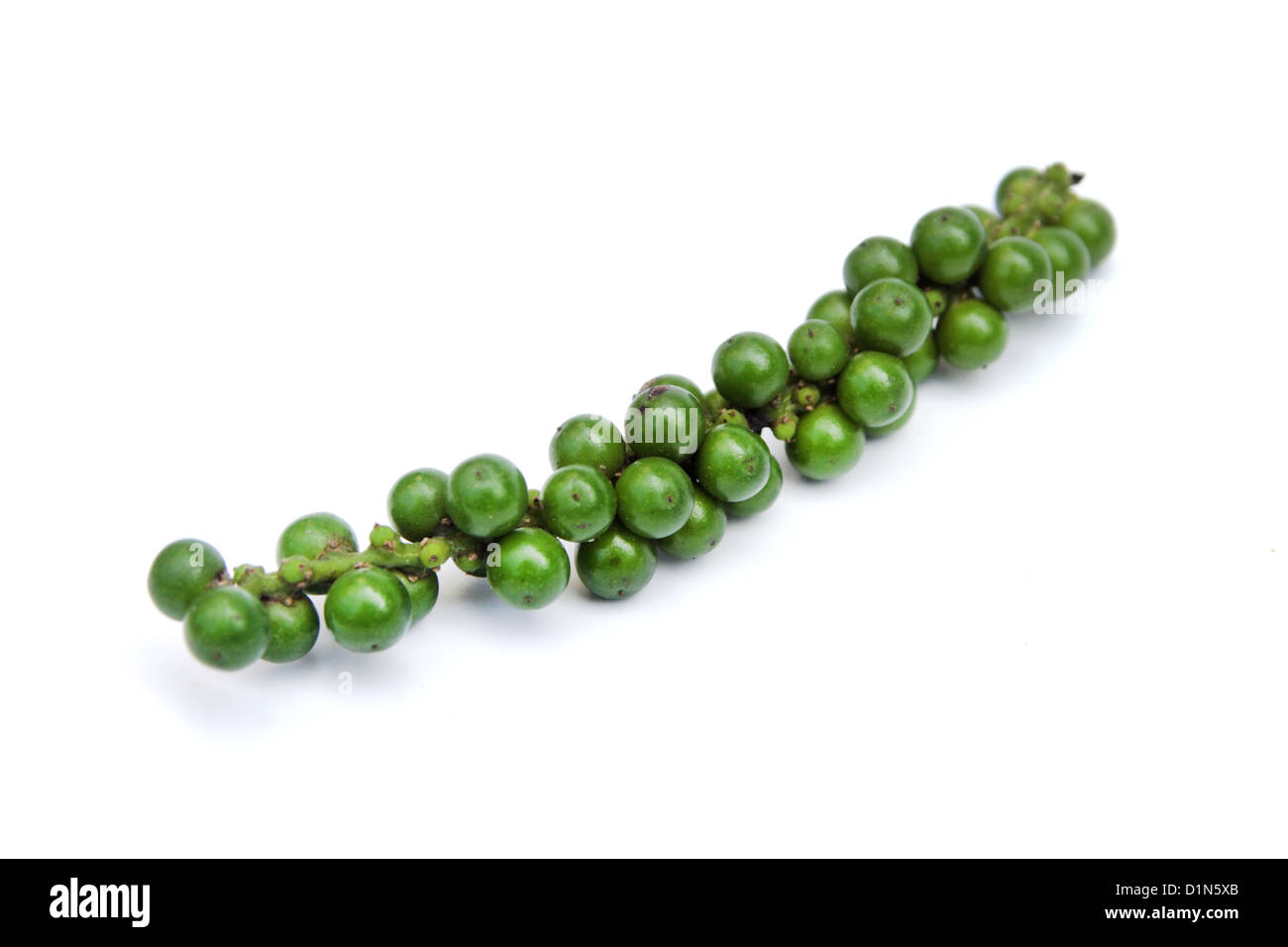 Vegetable berry hi-res stock photography and images - Alamy