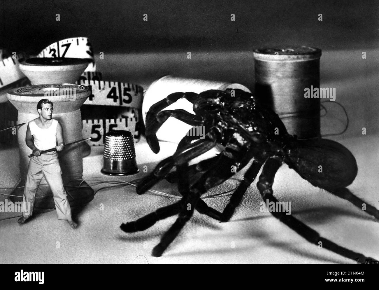 Incredible Shrinking Man Spider
