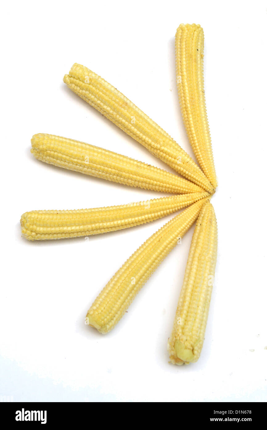 Baby corn vegetable hi-res stock photography and images - Alamy