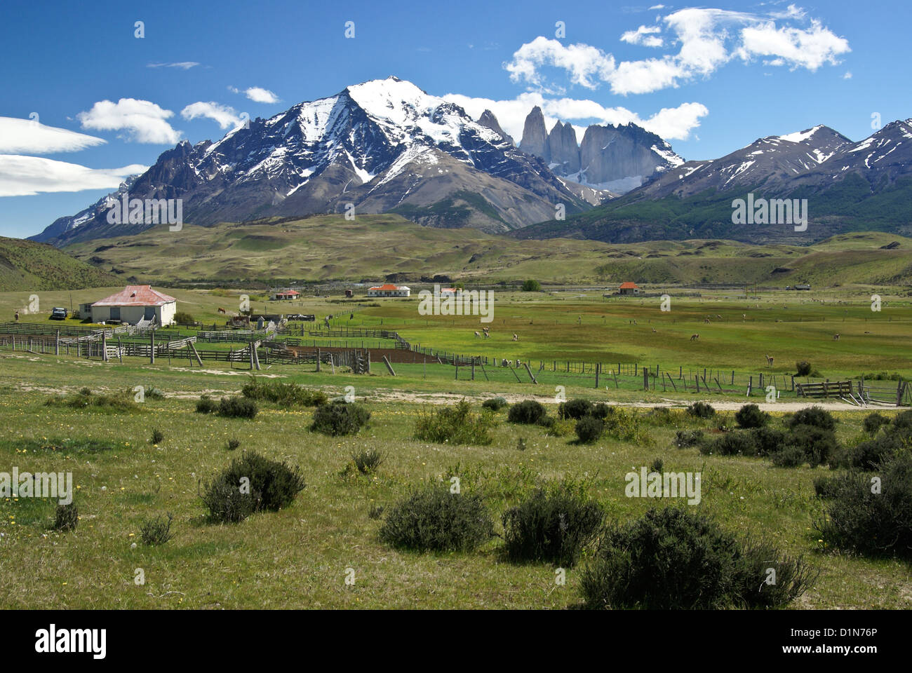 Laguna Amarga Ranch & Paine Massif, Torres del Paine NP, Patagonia ...