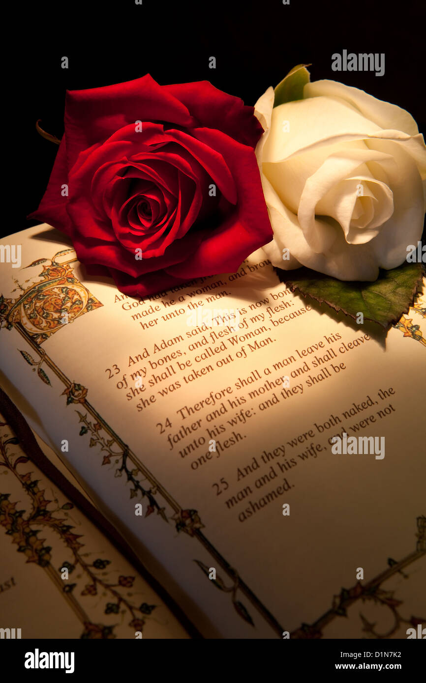 Genesis text of Adam and Eve in a bible with roses - the text ...
