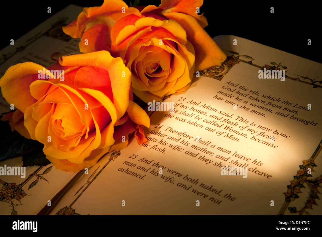 Two roses on the Genesis text in the bible, the text used during ...