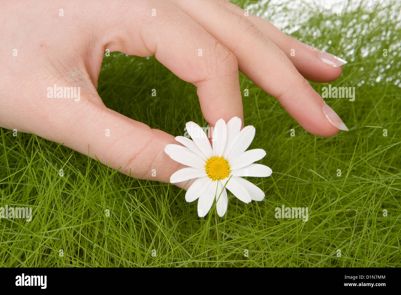 Hand Picking A Flower High Resolution Stock Photography and Images - Alamy