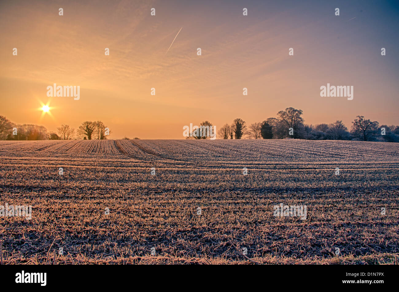 Strelley hi-res stock photography and images - Alamy