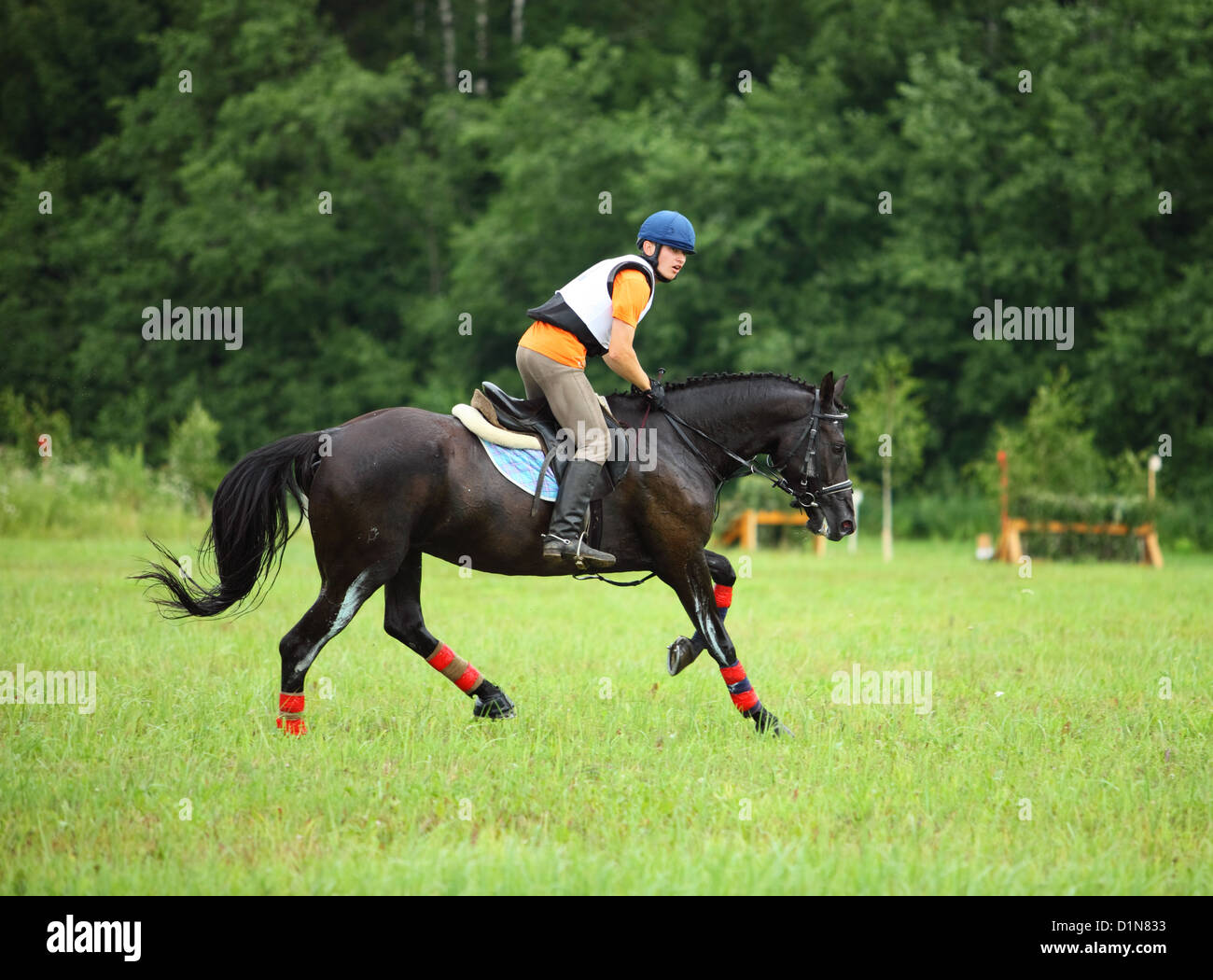 Horse Rider competing at the cross-country phase Stock Photo - Alamy