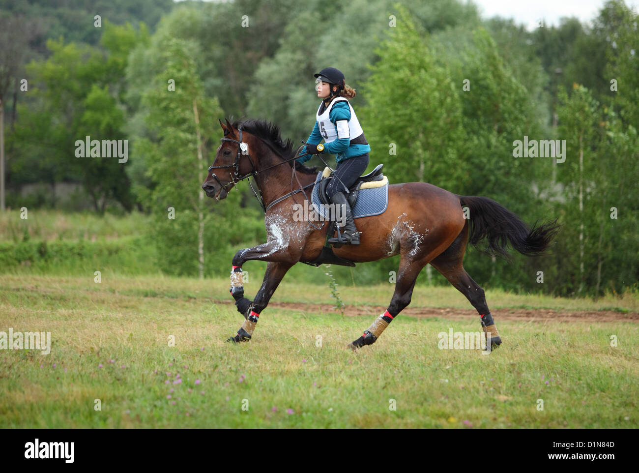 Horse Rider competing at the cross-country phase Stock Photo - Alamy