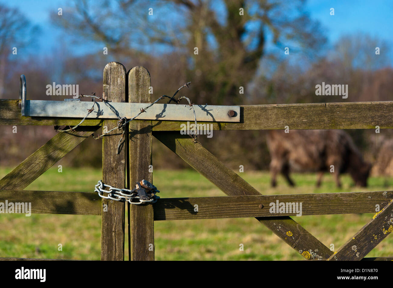 Locked farm gate Stock Photo - Alamy