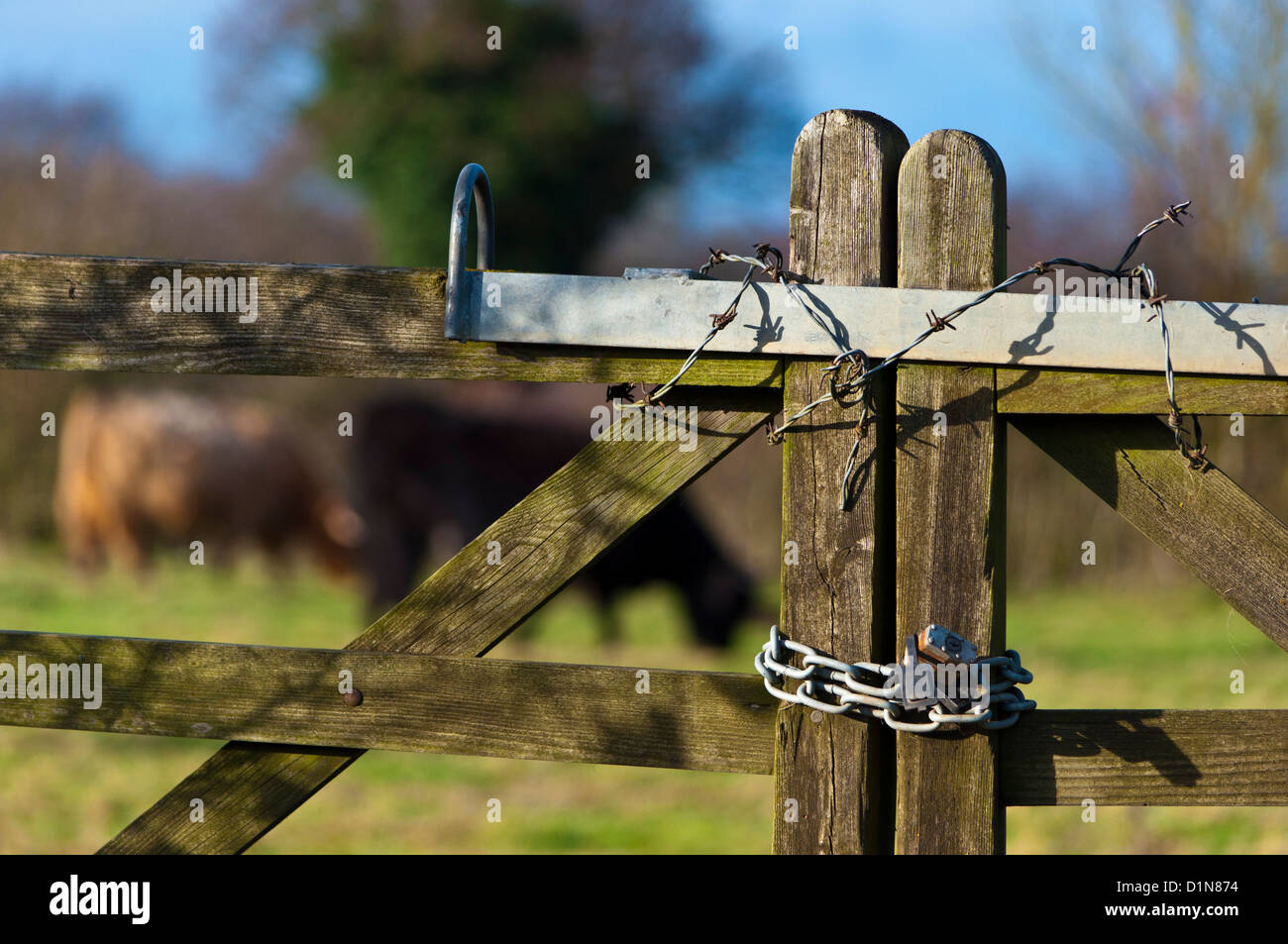 Locked farm gate Stock Photo - Alamy