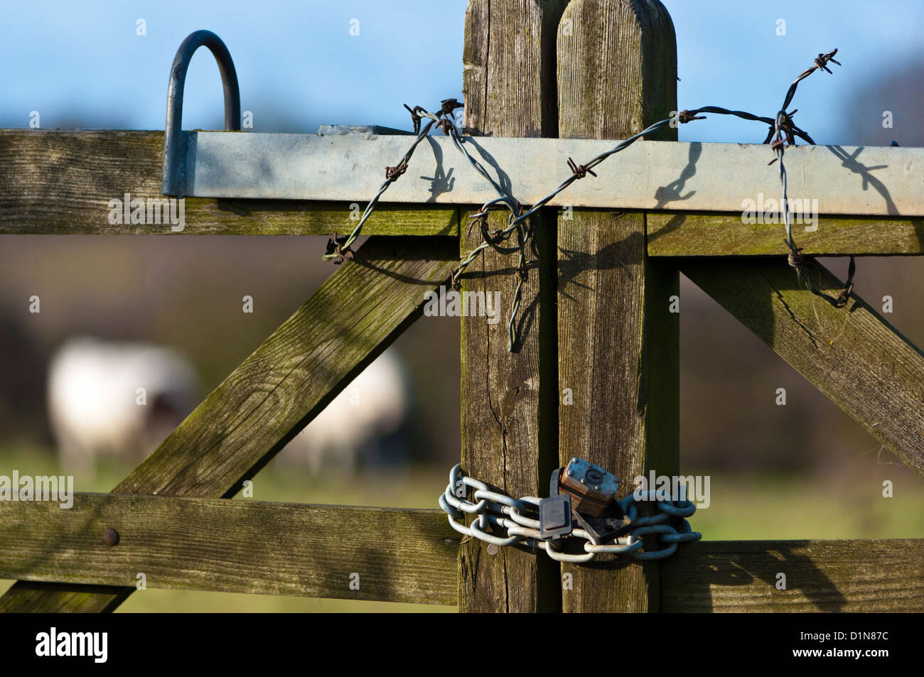 Locked farm gate Stock Photo - Alamy
