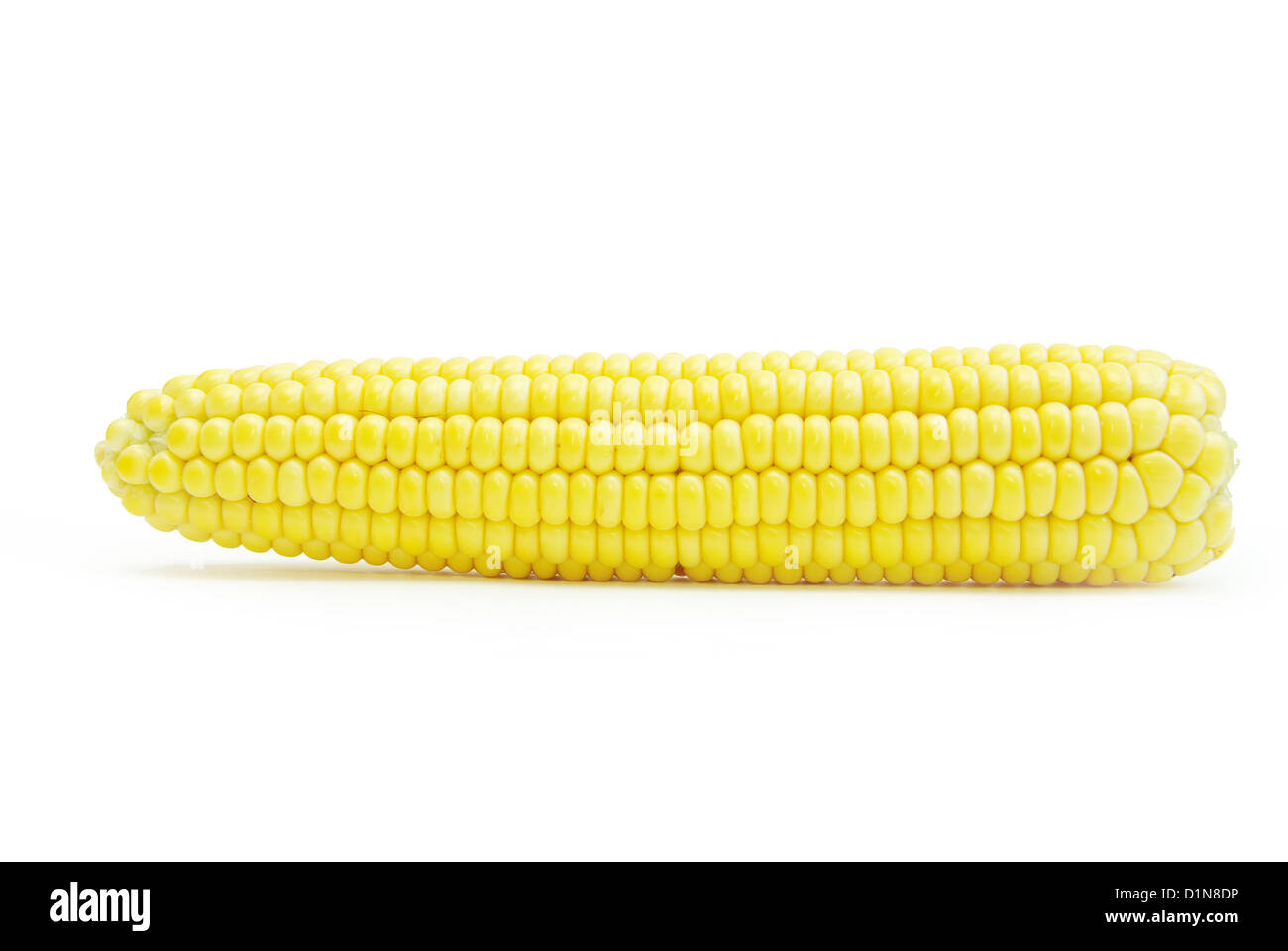 Sweet maize isolated on white background Stock Photo - Alamy