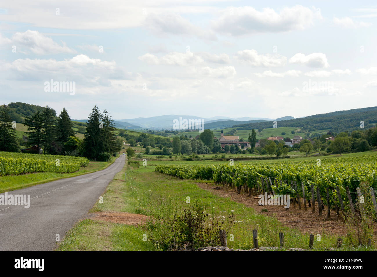 Views of Vineyards in Burgundy France Stock Photo - Alamy