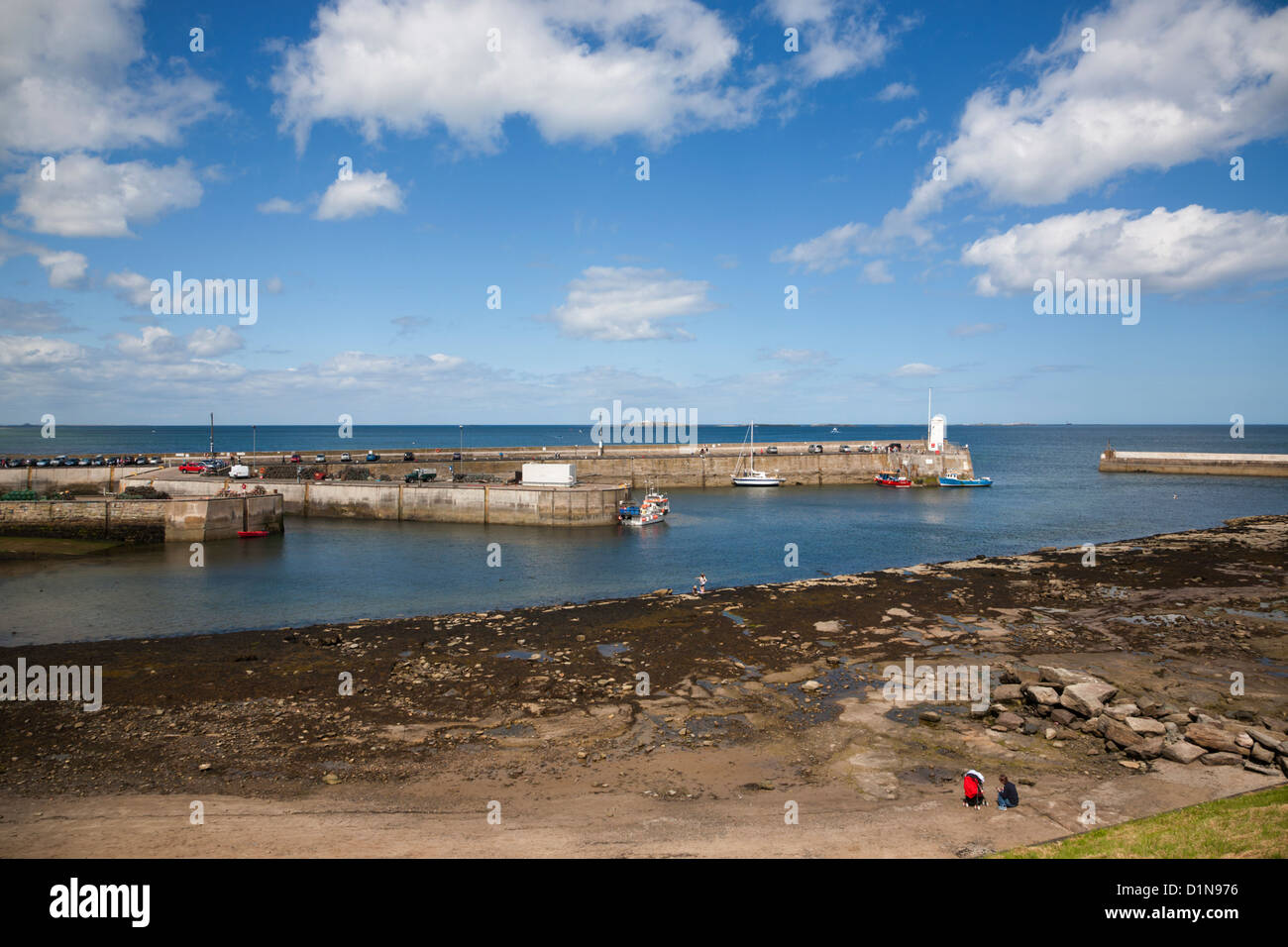 Harbour at Seahouses, Northumberland Stock Photo - Alamy