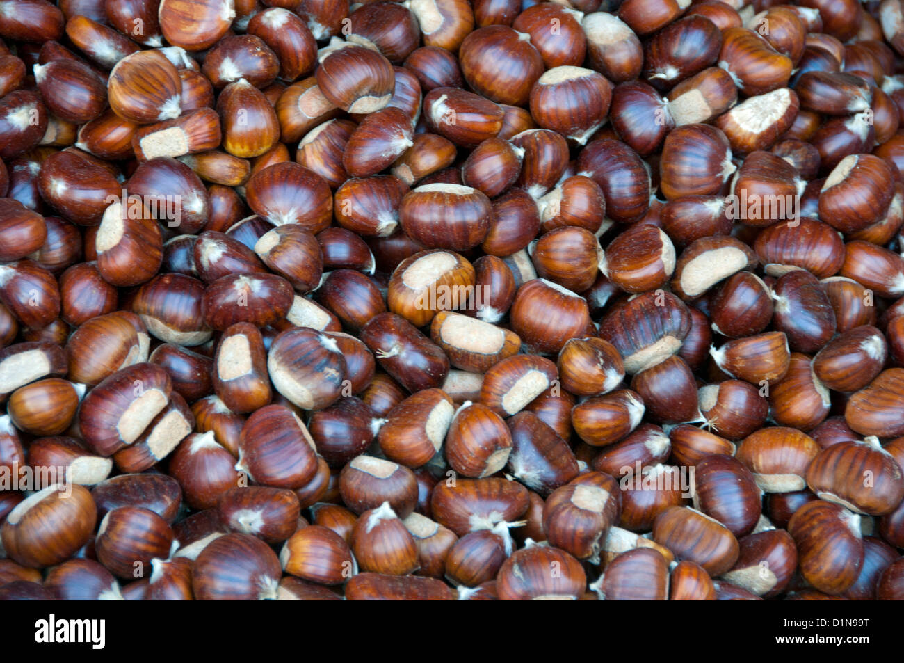 Freshly picked Chestnuts for sale in Collobrieres, South Of France ...