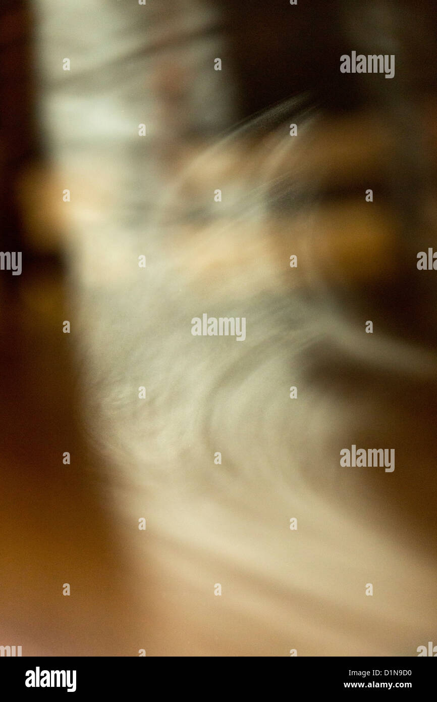 Mist smoke in air Stock Photo - Alamy