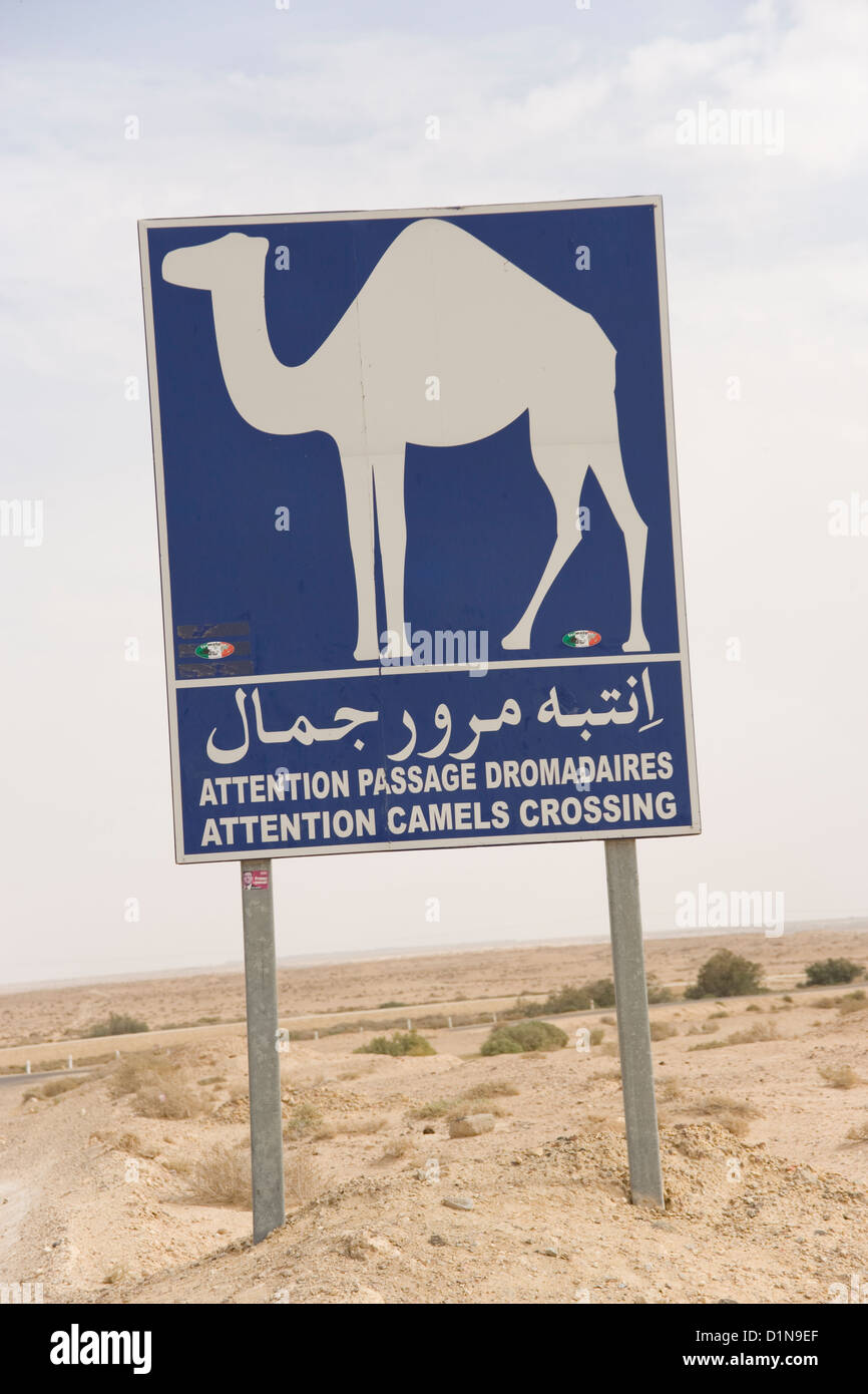 Attention Camels Crossing road sign in the Sahara desert in Tunisia ...