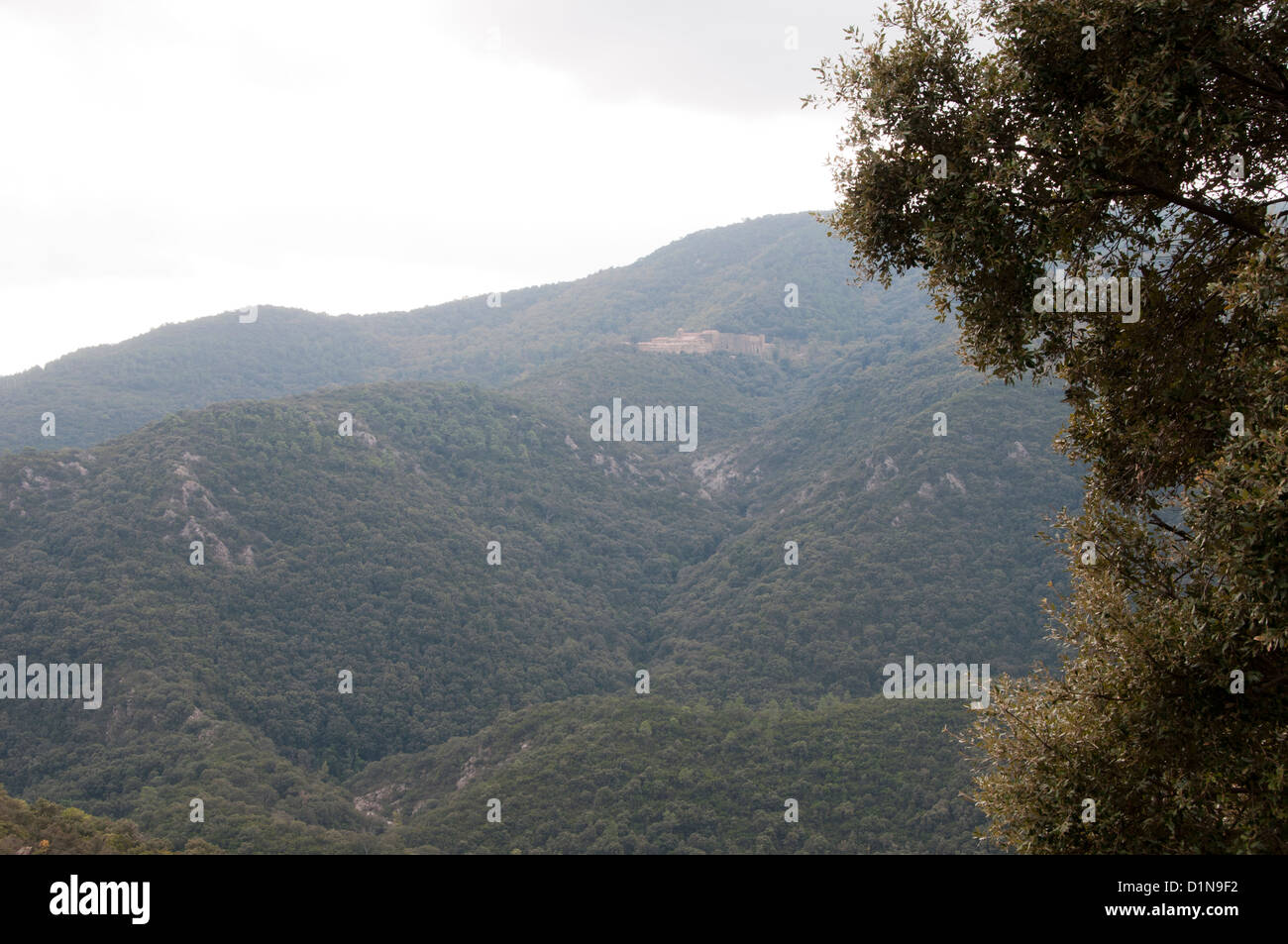 Landscape Photo of the Massif Des Maures, Collobrieres, Var France ...