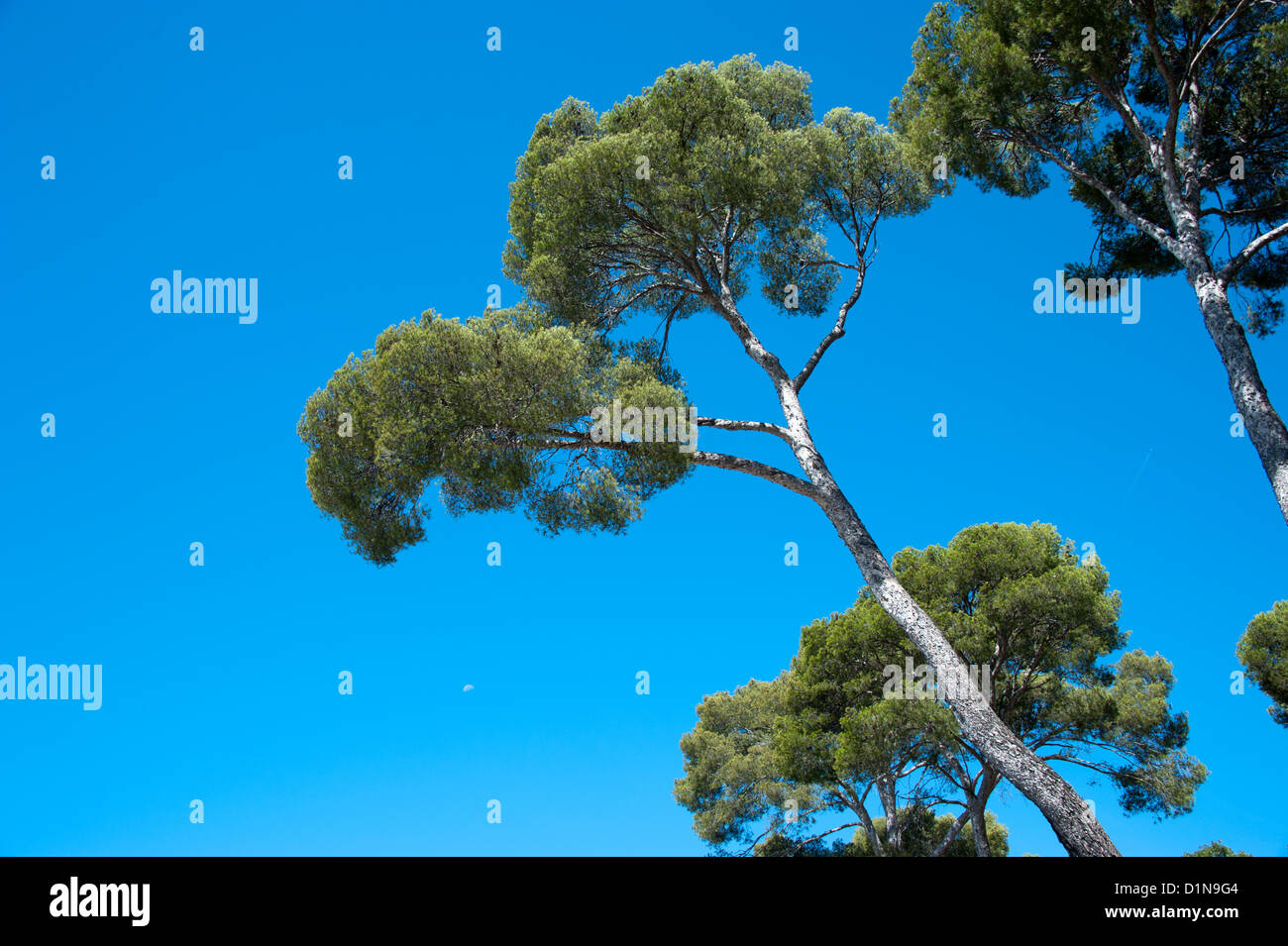 Blue green france hi-res stock photography and images - Alamy