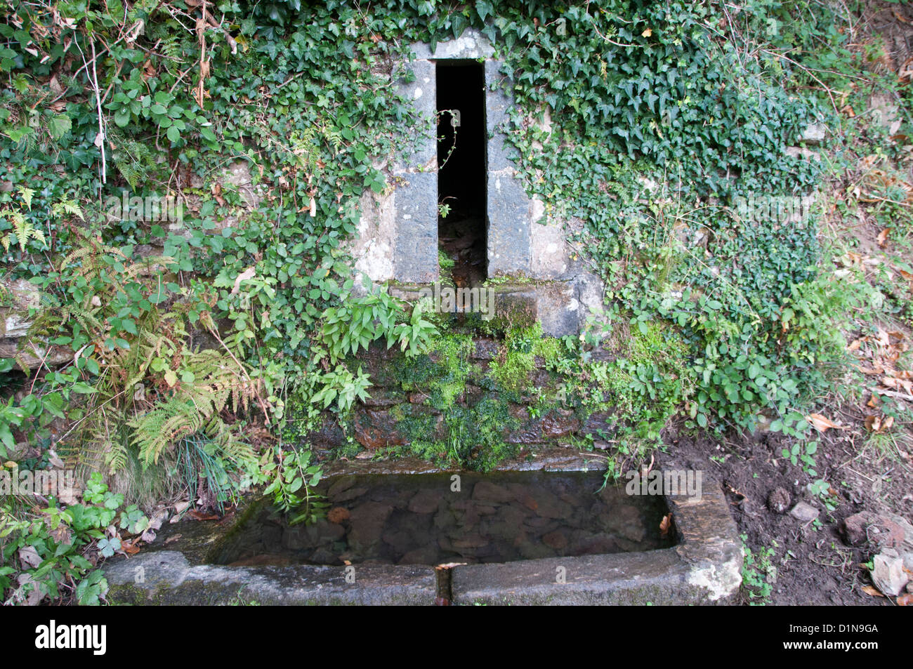 Chartreuse de hi-res stock photography and images - Alamy