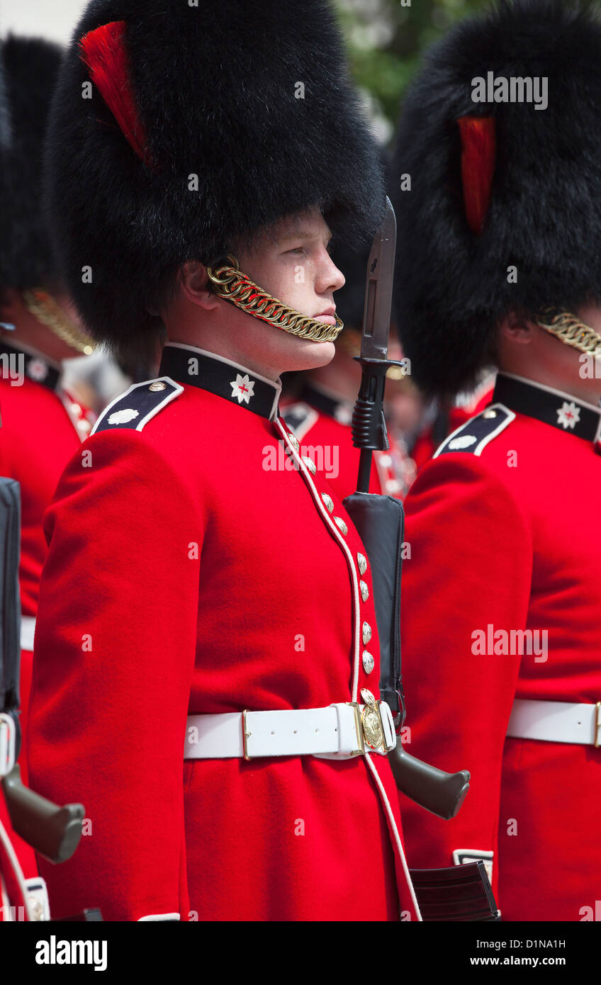 A member of the Coldstream Guards on parade with gun and bayonet in ...