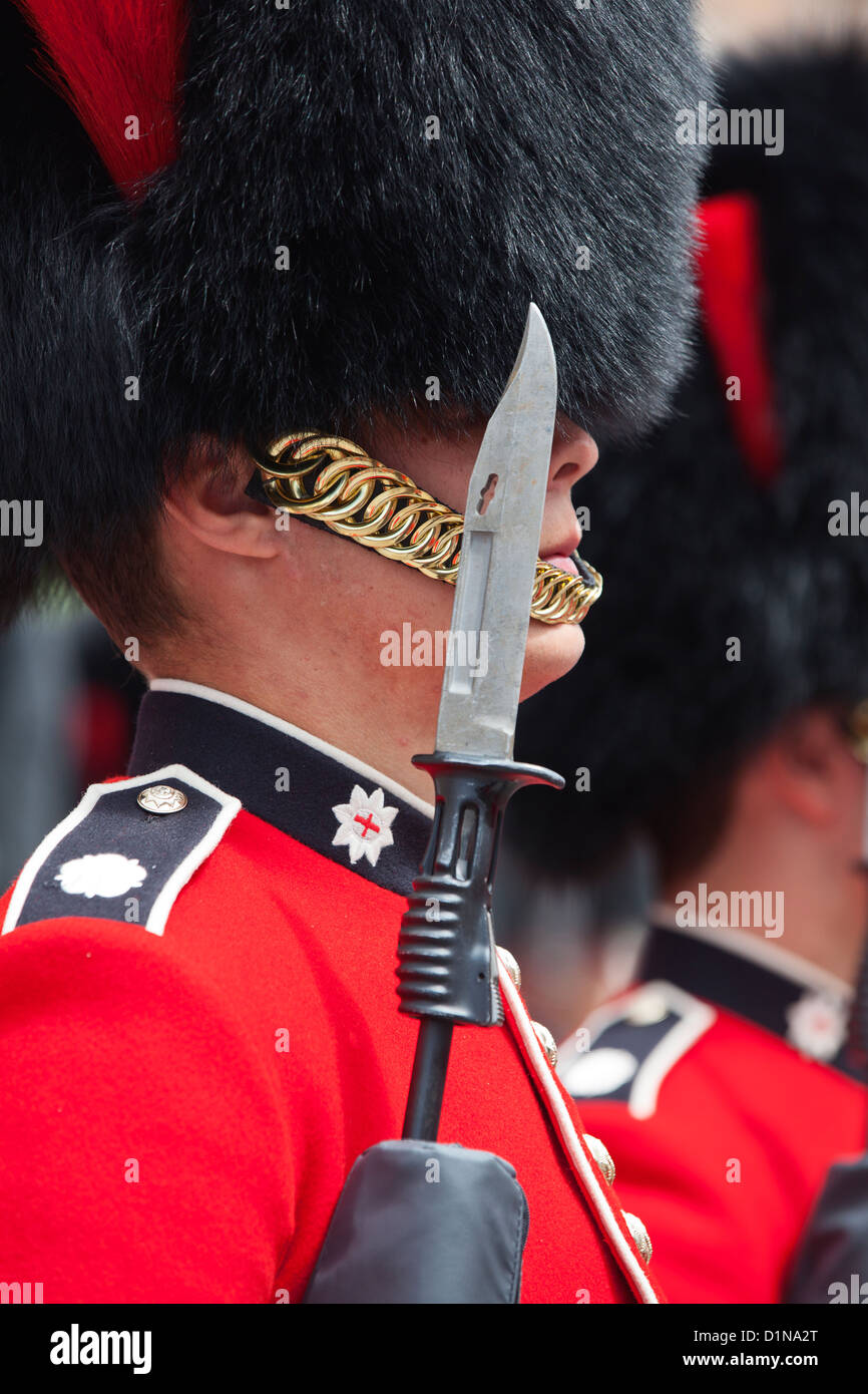 A member of the Coldstream Guards on parade with bayonet in Exeter, UK ...