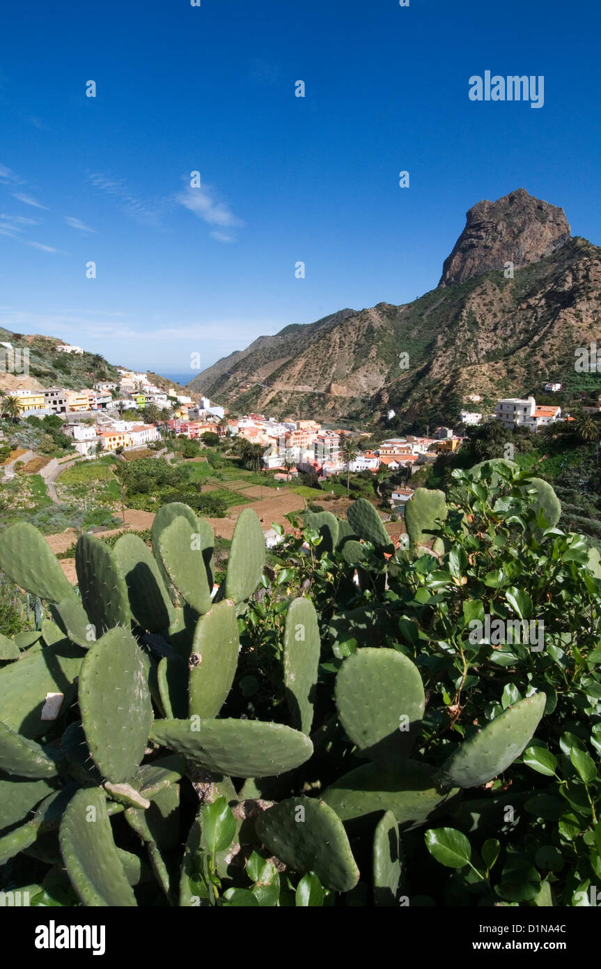 northern tenerife landscape cactus cactuses volcanic island islands ...