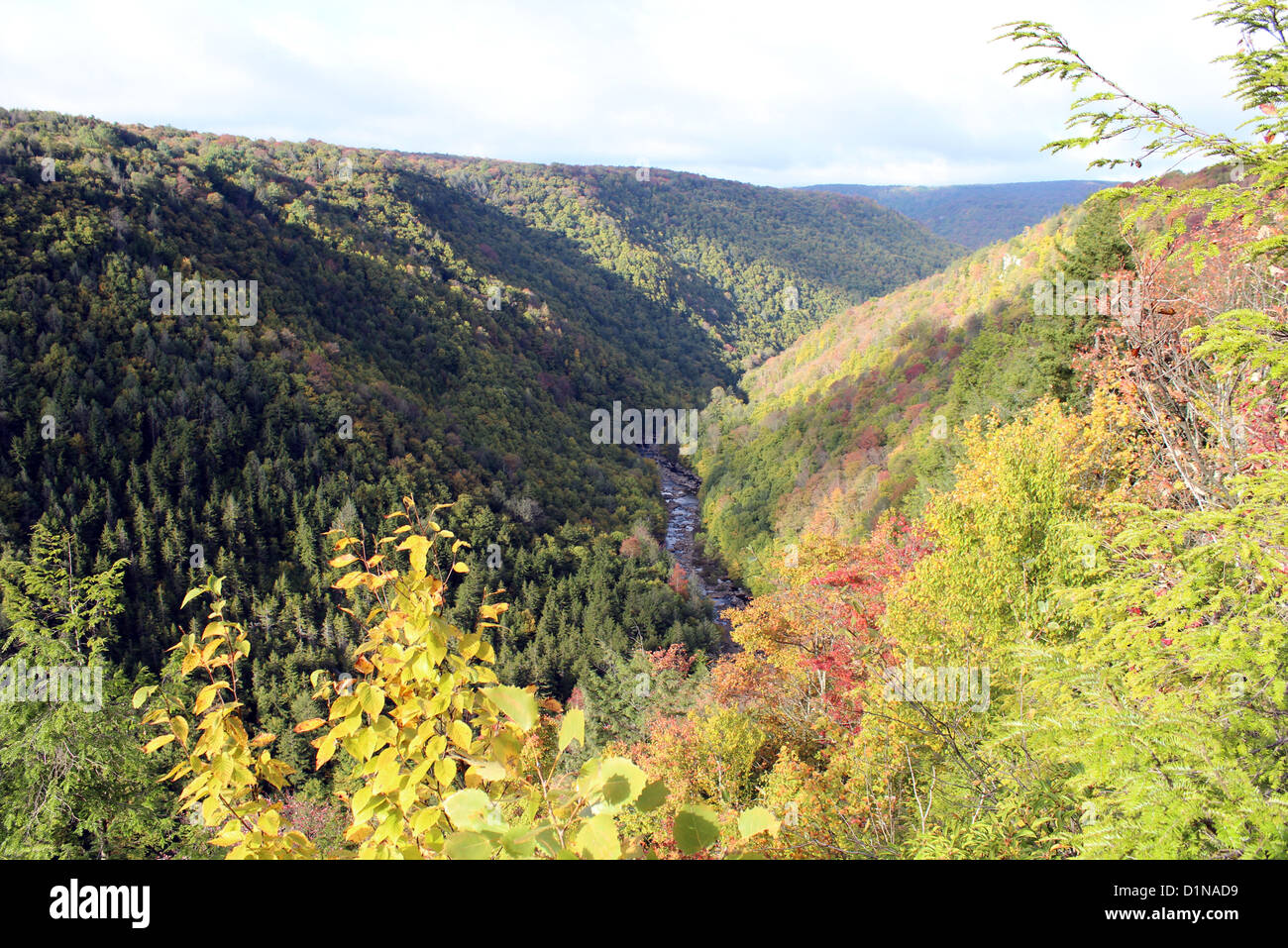 Blackwater Falls State Park, Davis, West Virginia, America, USA Stock ...
