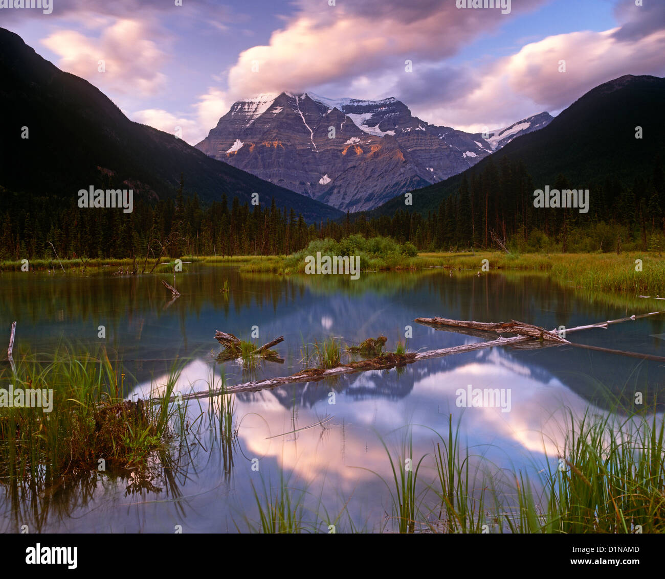 Beaver Pond and Mount Robson, Jasper National Park, Alberta, Canada ...