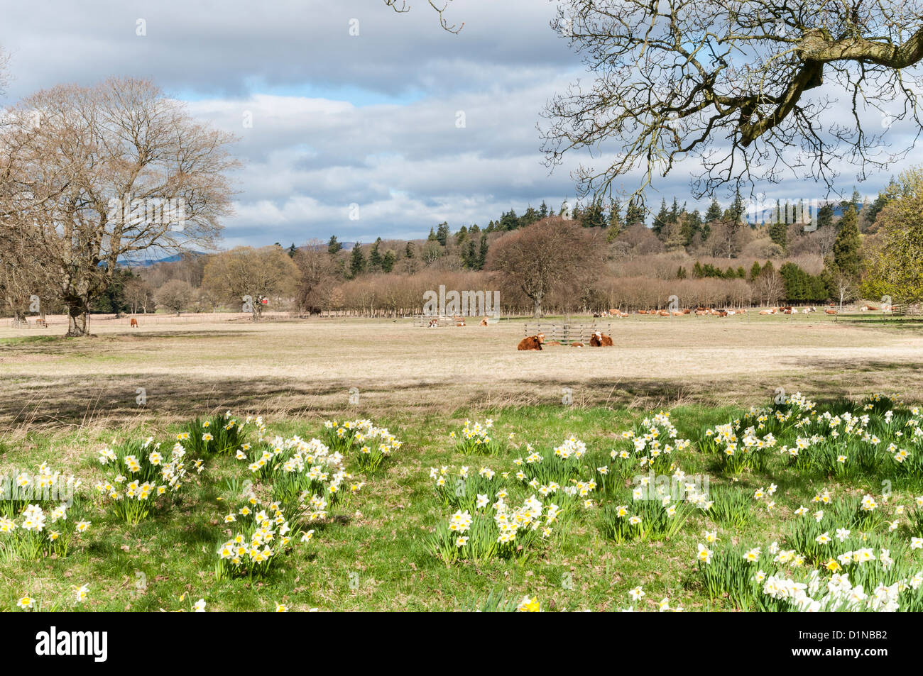 Glamis castle in scotland hi-res stock photography and images - Alamy