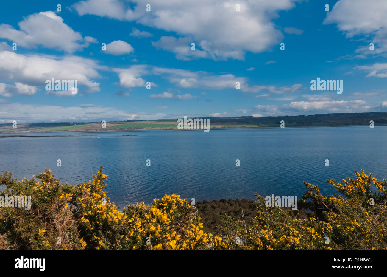 From the Cromarty Bridge looking over Cromarty Firth nr Dingwall Ross ...