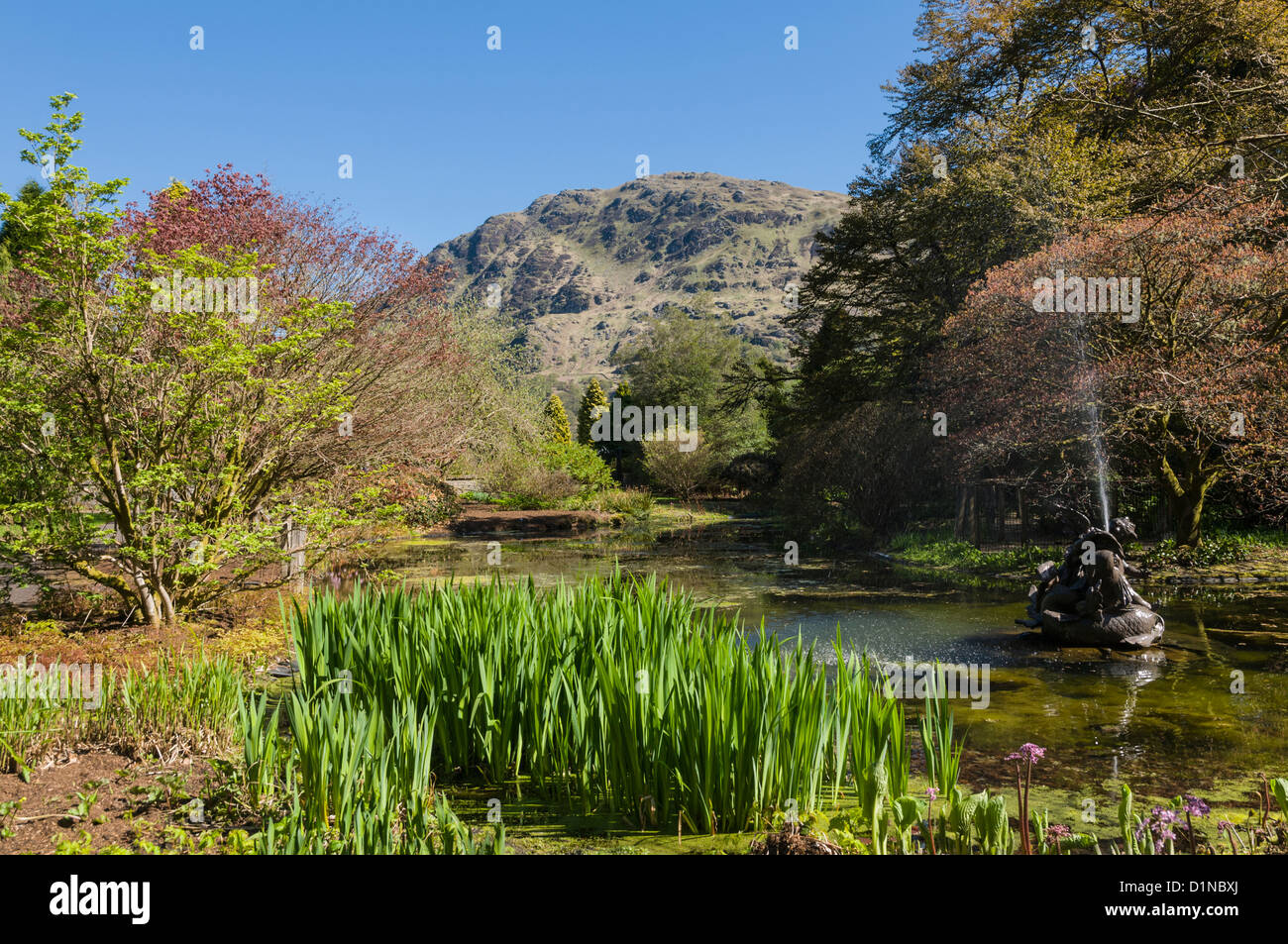 Cowl peninsula hi-res stock photography and images - Alamy
