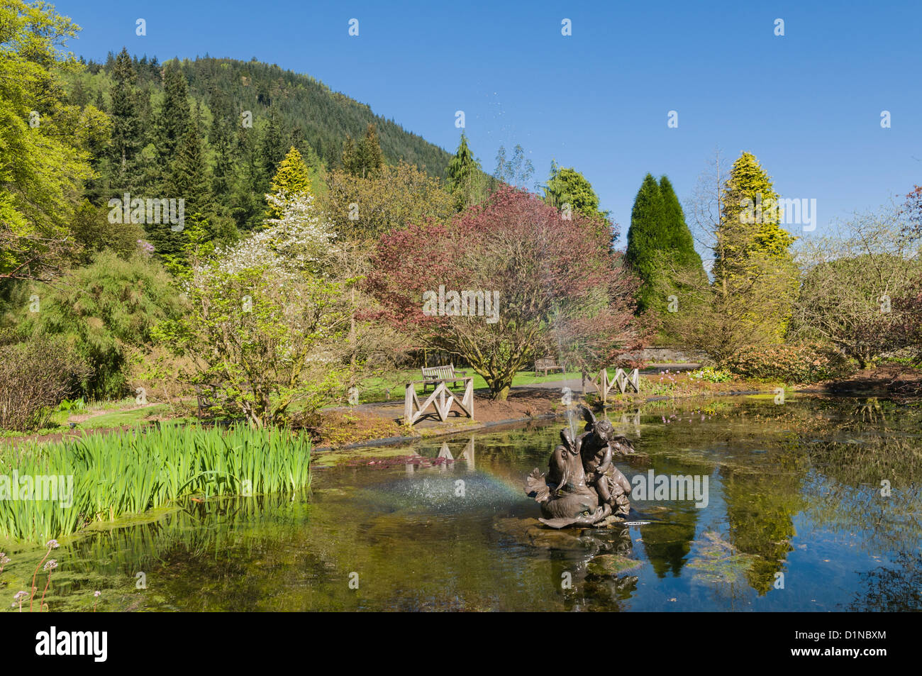 Pond & fountain Benmore Gardens nr Dunoon Cowal Peninsula Argyll & Bute ...