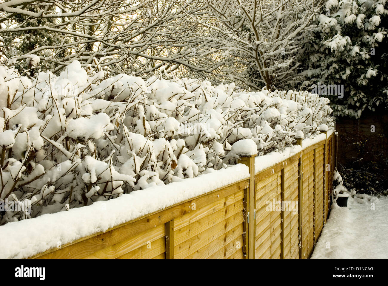 Snow on the garden fence hi-res stock photography and images - Alamy