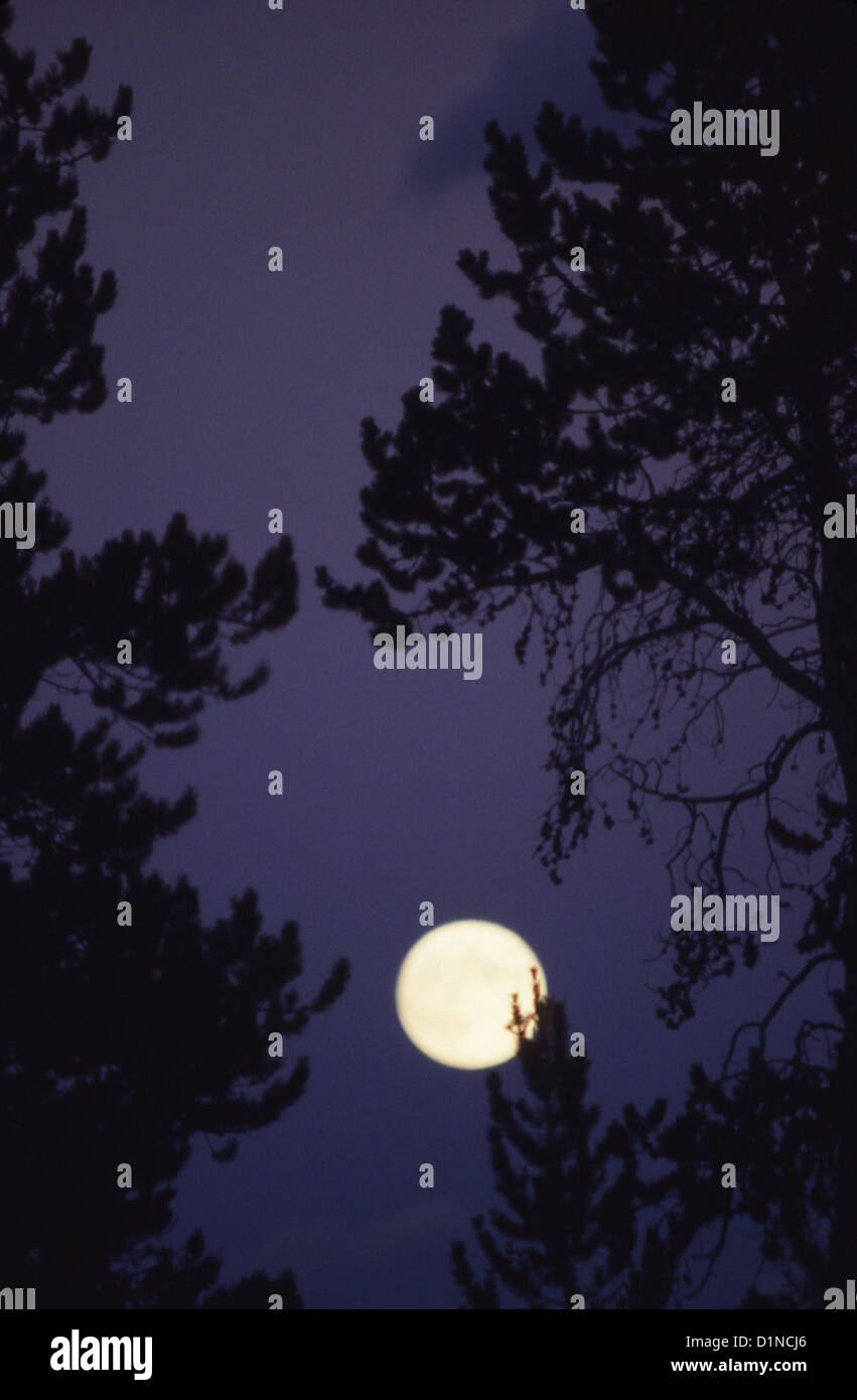 Yellowstone national park moonrise hi-res stock photography and images ...