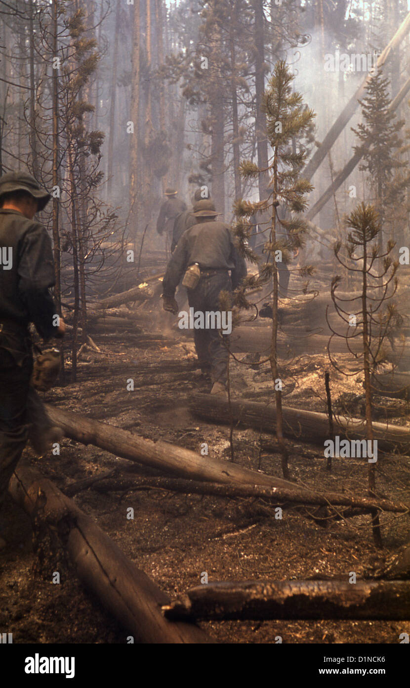 Firefighters; Yosemite National Park Stock Photo - Alamy